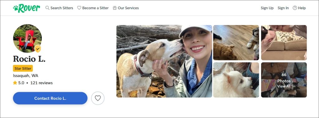 Rover Sitter Review (2025): $1000 a Month Playing with Dogs?