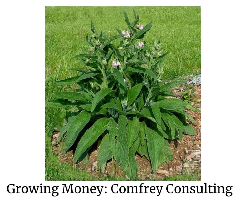 10 Creative Side Hustles that Make Real Money - Part 6 - Side Hustle Nation